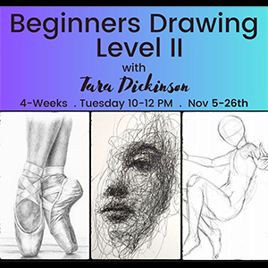 Beginner drawing class in Petaluma